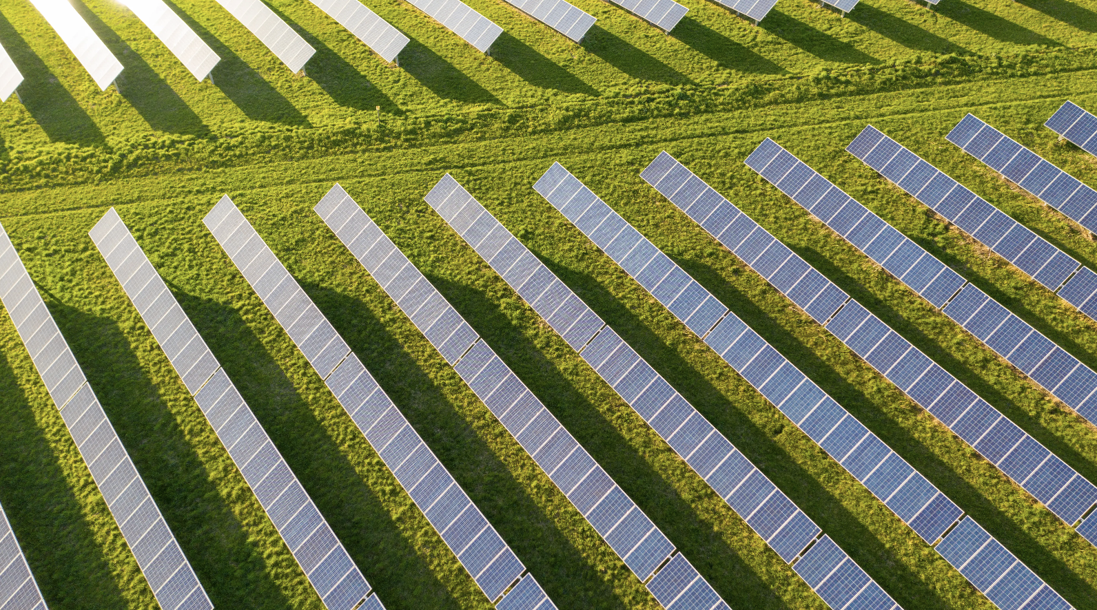 Parco fotovoltaico a Taranto: il progetto green che nasce in Greenergy